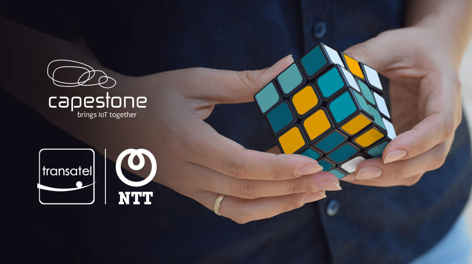 Cellular IoT made simple